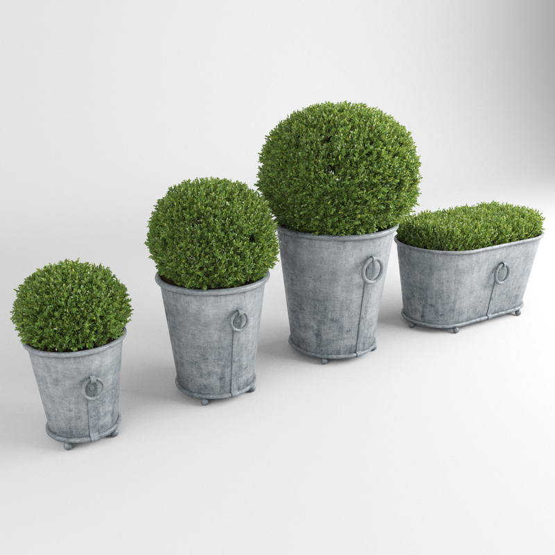 3d max realistic planters ring