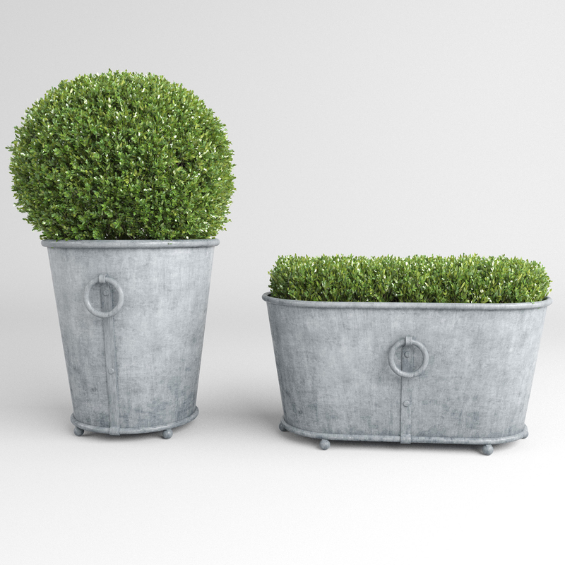 3d max realistic planters ring