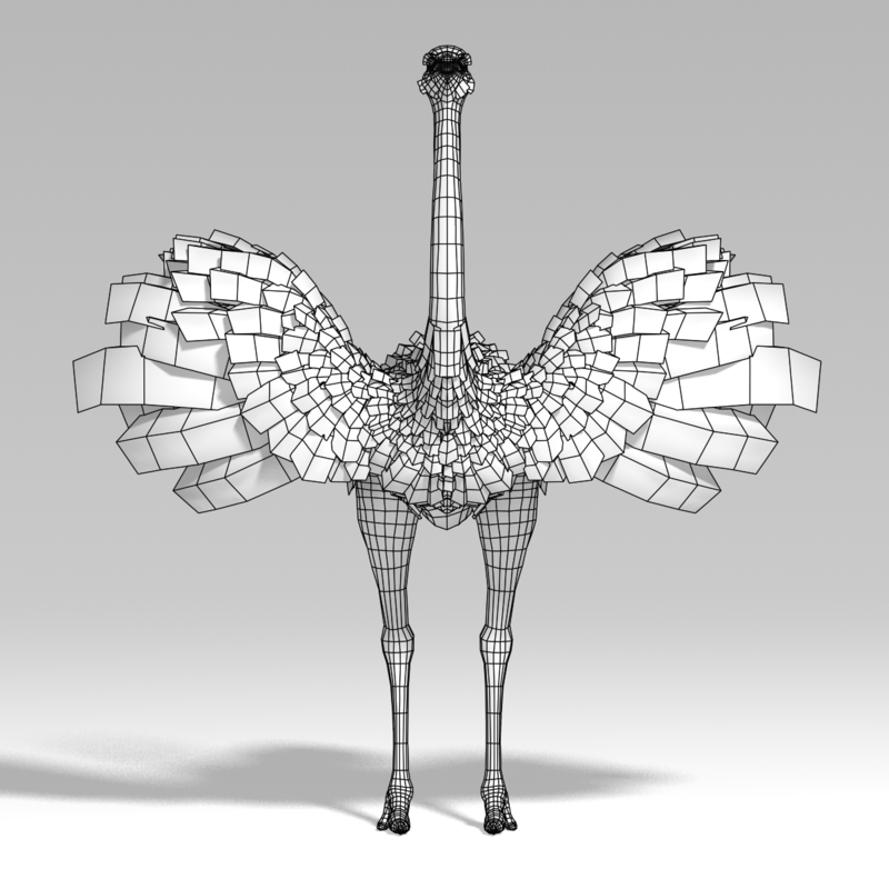 3d ostrich
