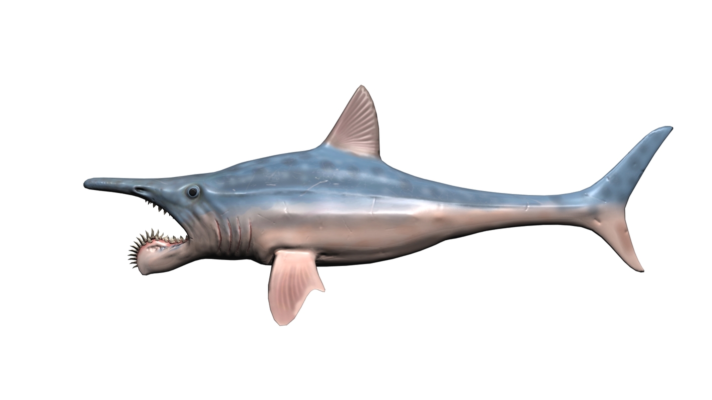 ancient shark helicoprion 3d obj