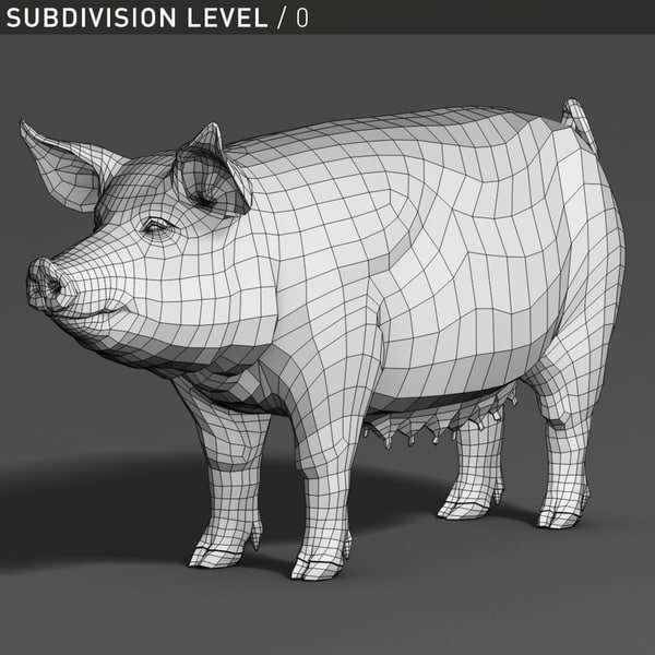 3d model pig adult female fur