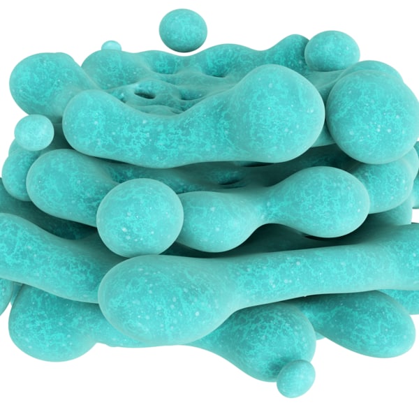 biology microbe 3d model