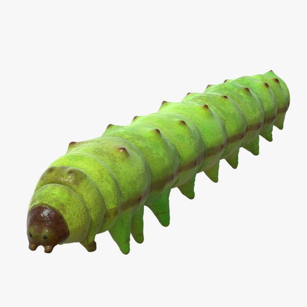 Worm 3D Models for Download | TurboSquid