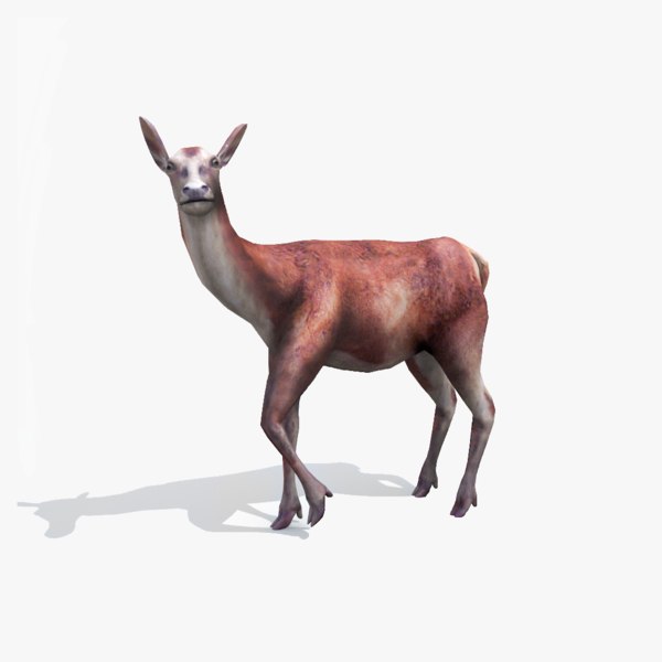 Free Rigged Animal 3D Models for Download | TurboSquid