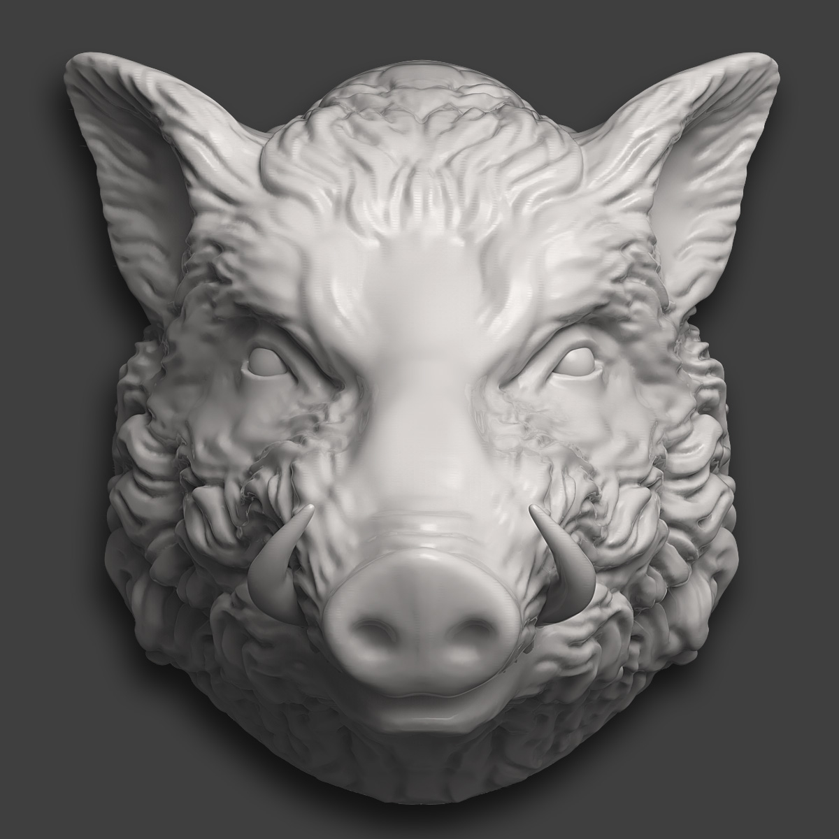 3d boar head