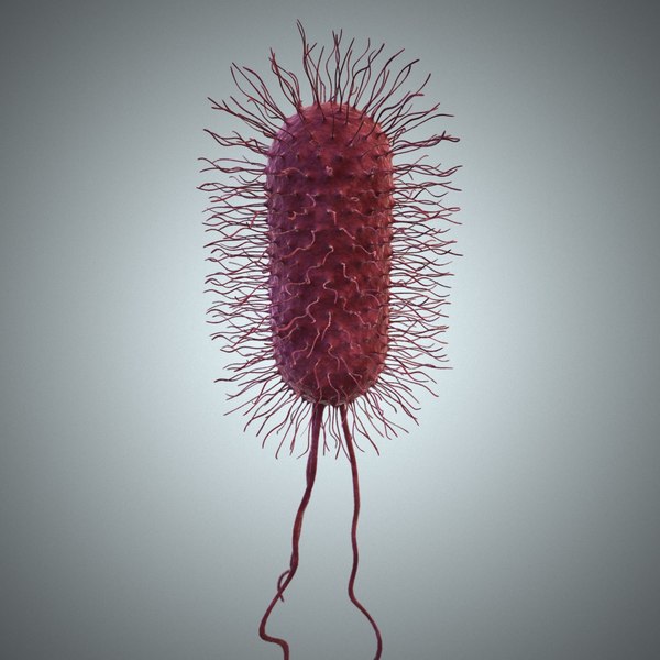 Free 3D Bacteria Models | TurboSquid