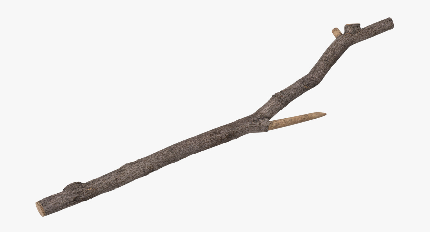 twig 01 3d model