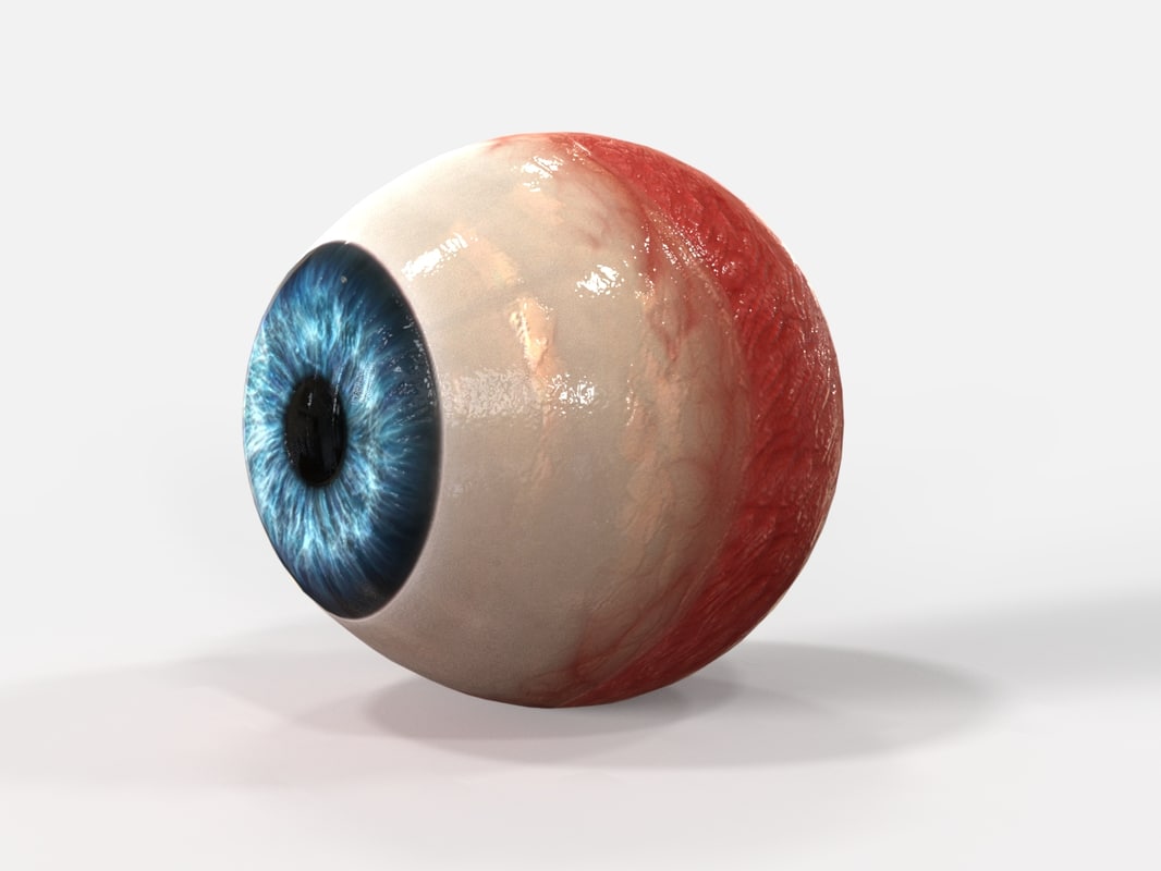 modelo 3d Ojo humano realista - TurboSquid 1040775