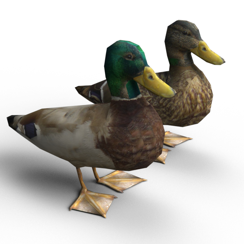 3ds low-poly ducks