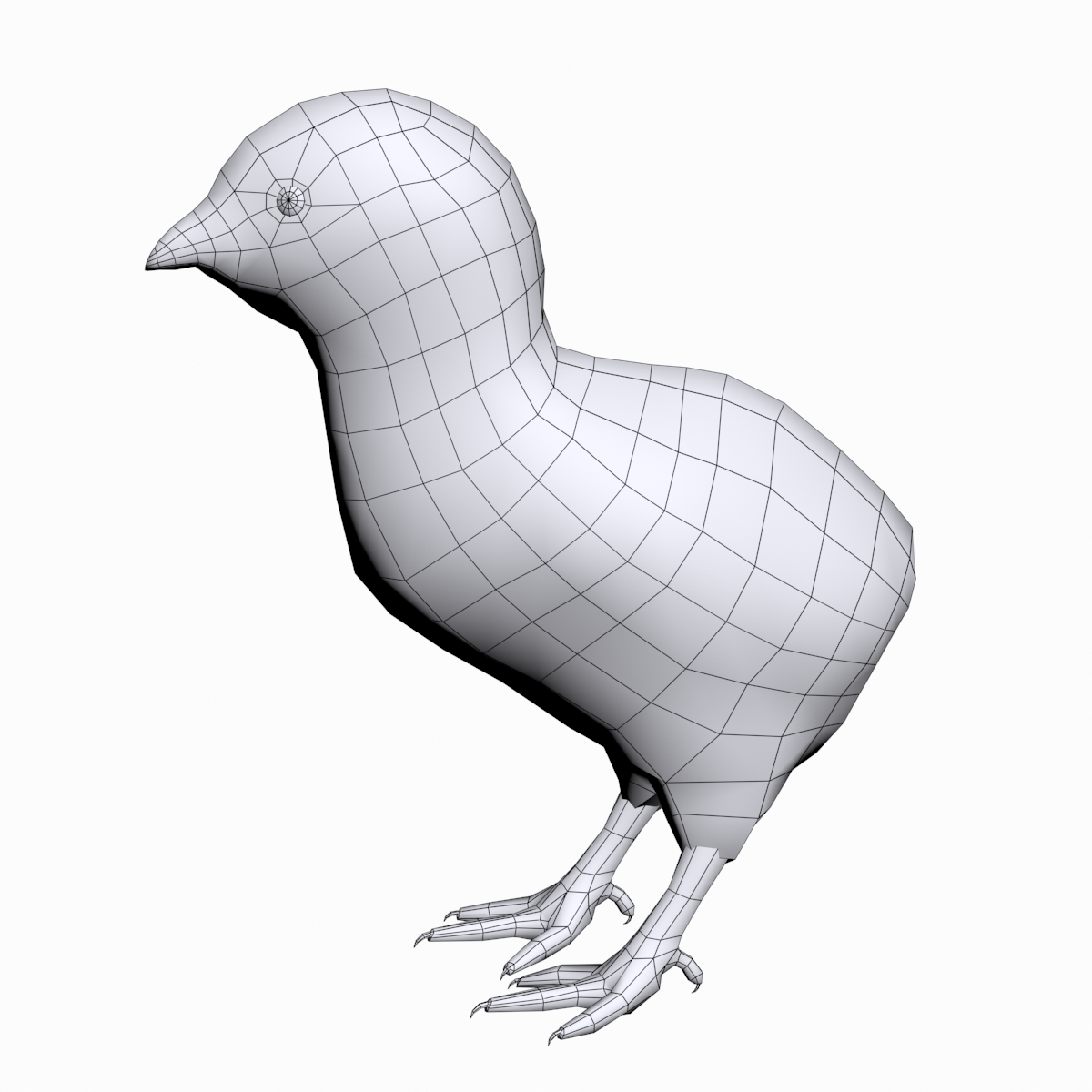 chick baby chicken 3d model