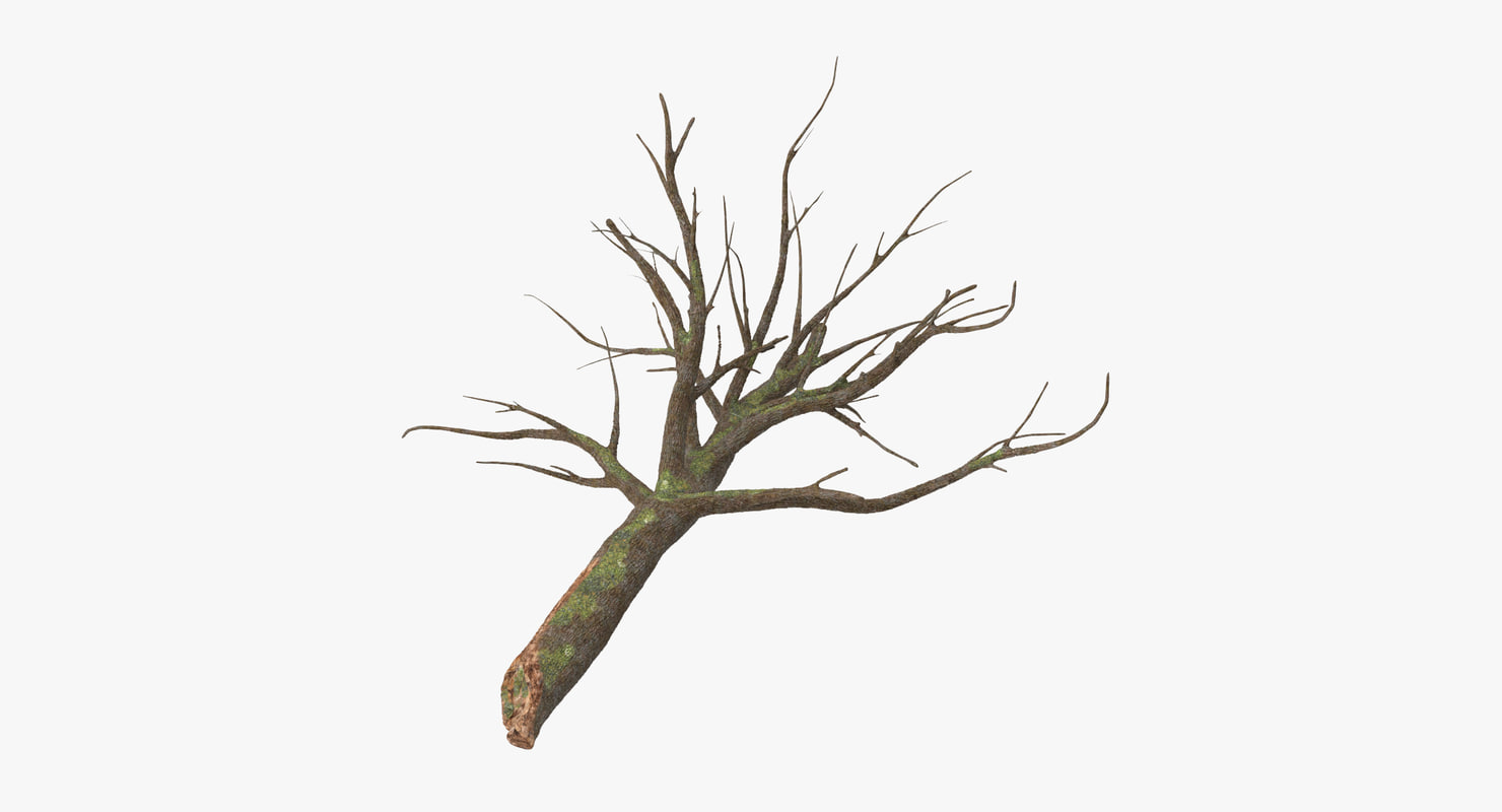 fallen logs oak 02 c4d