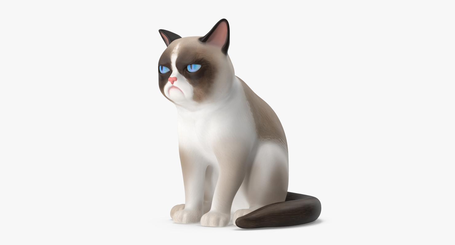 grumpy cat 3d model