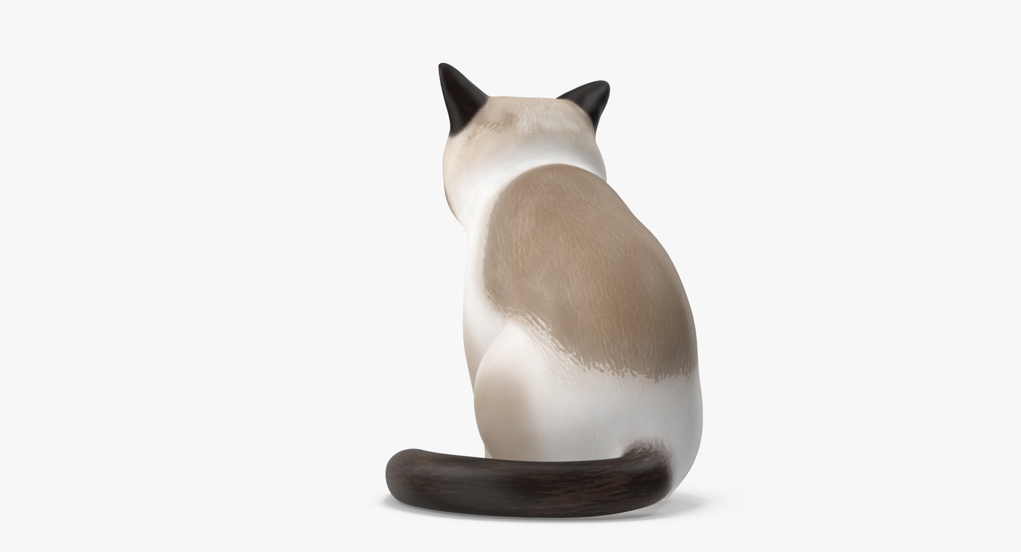 grumpy cat 3d model