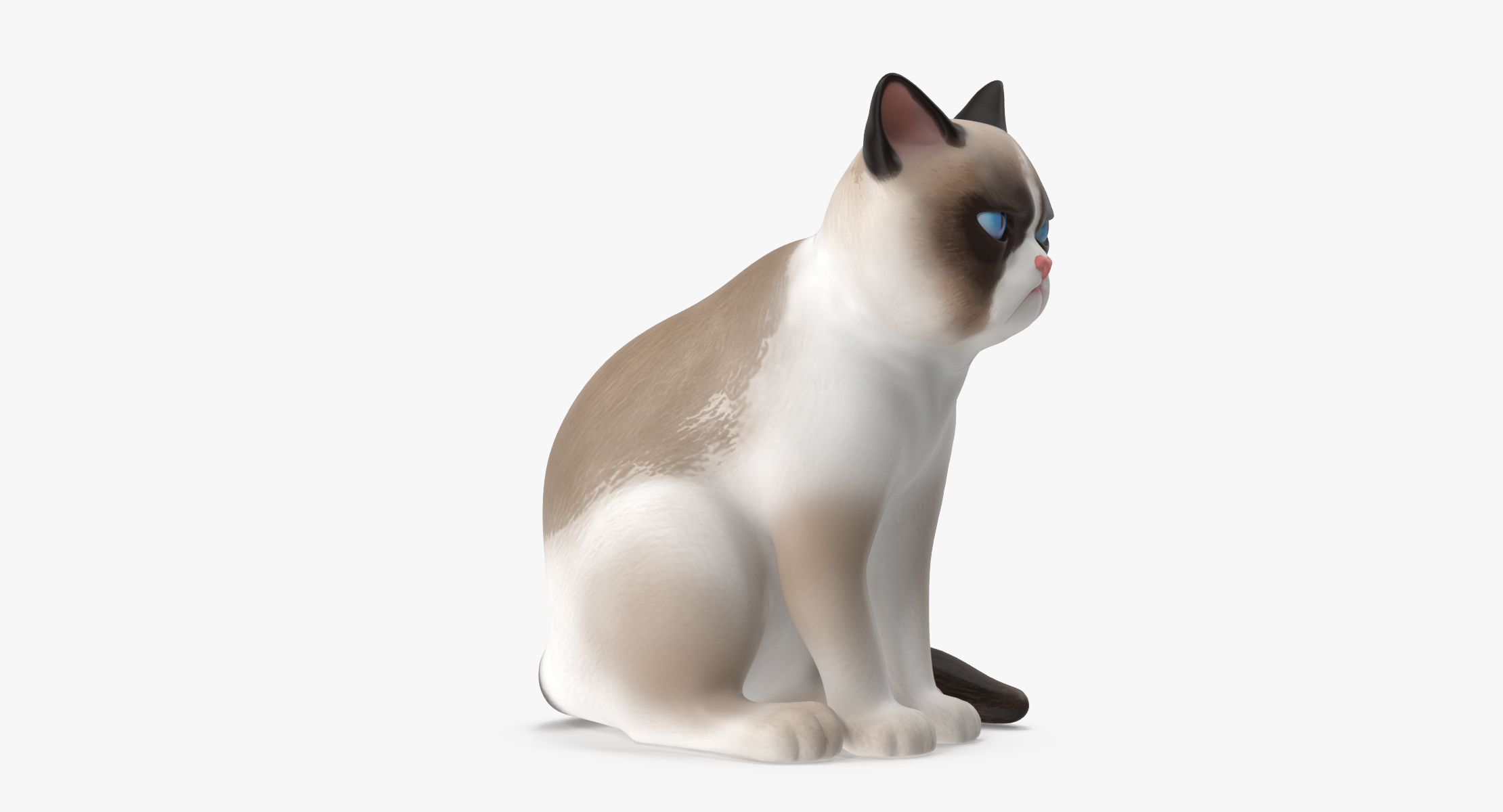 grumpy cat 3d model