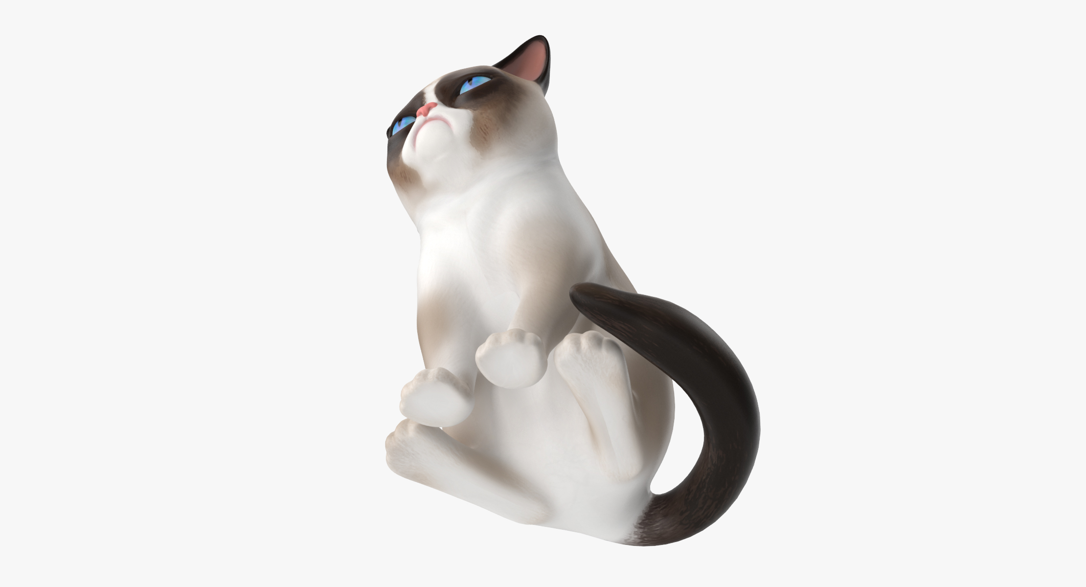 grumpy cat 3d model