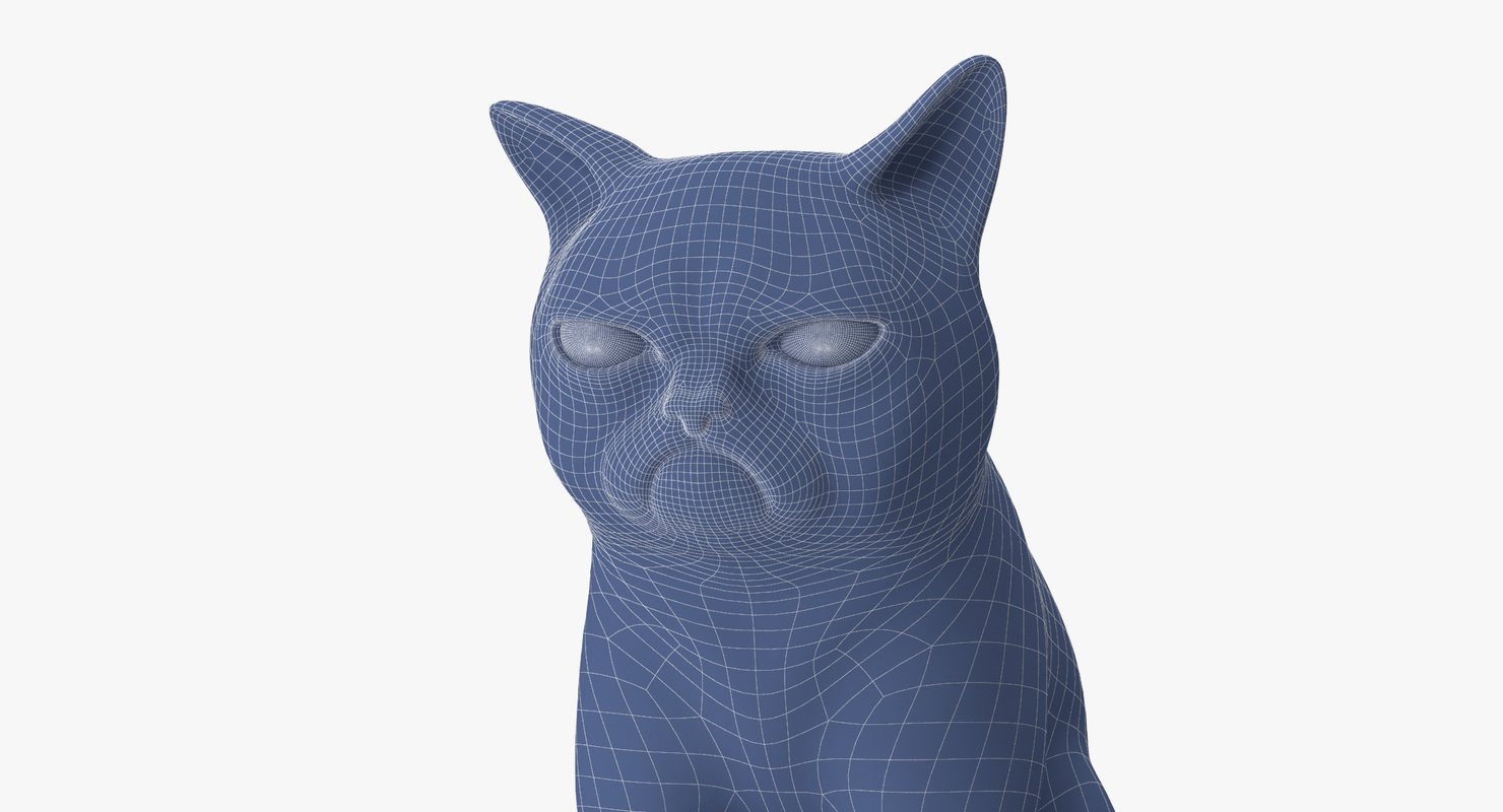 grumpy cat 3d model