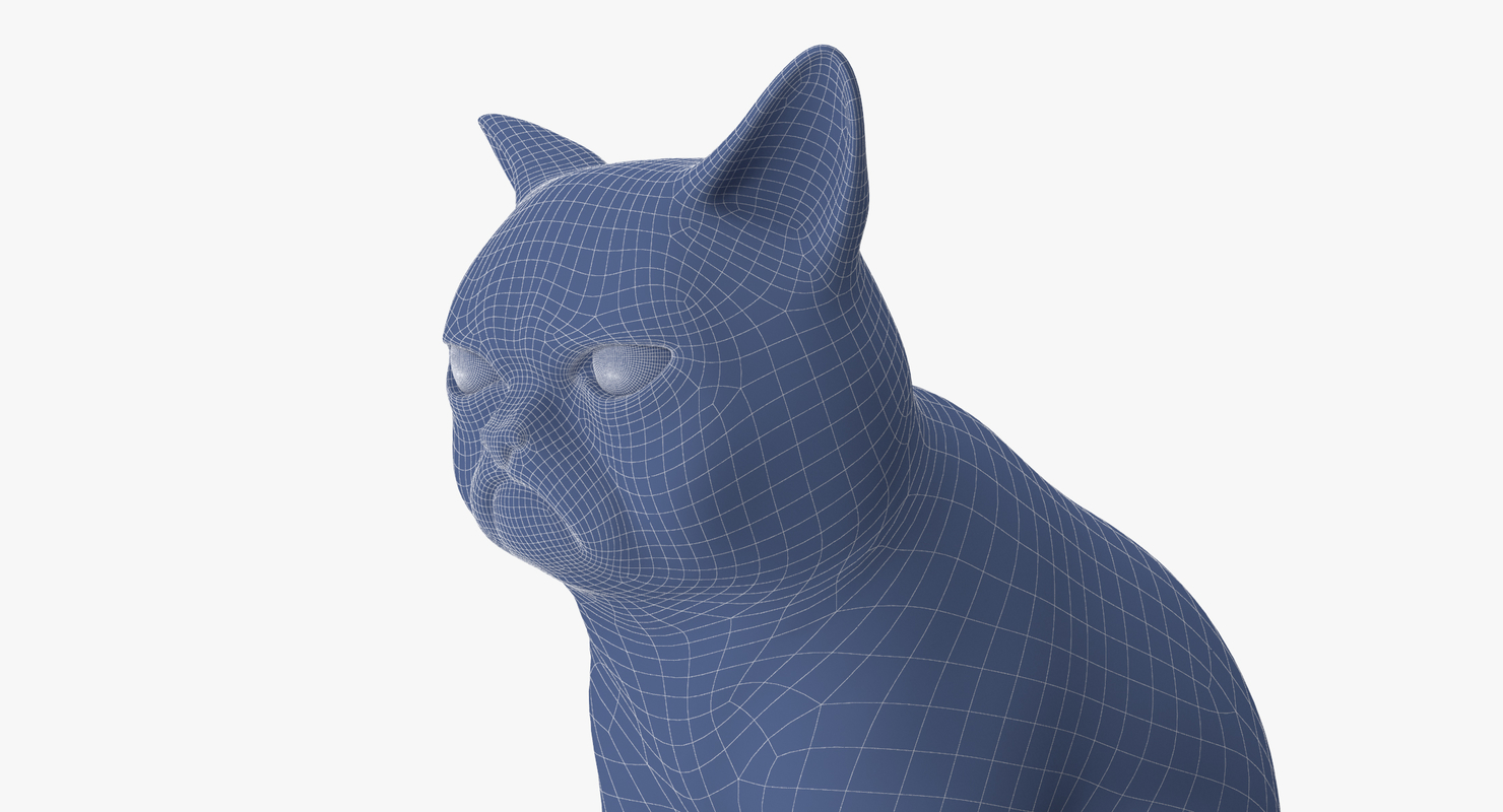 grumpy cat 3d model
