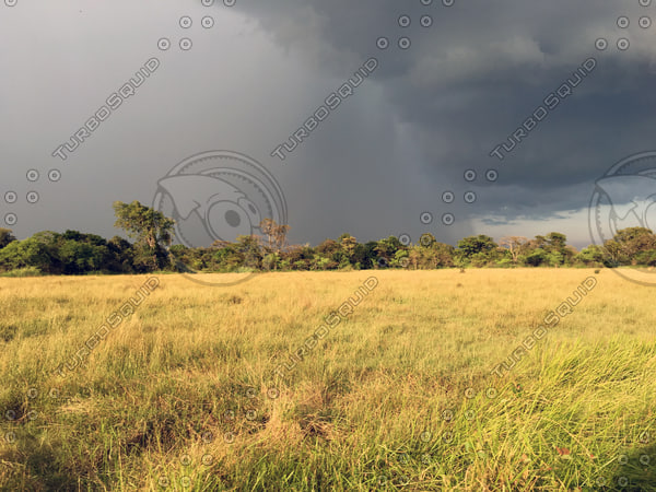 Stock JPEG ready to rain