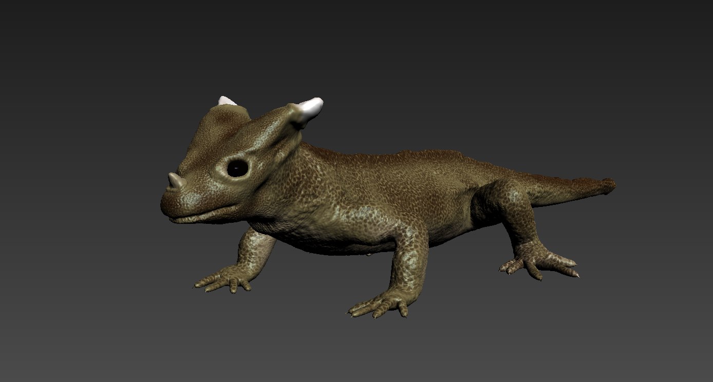 3d reptiles lizard horned model
