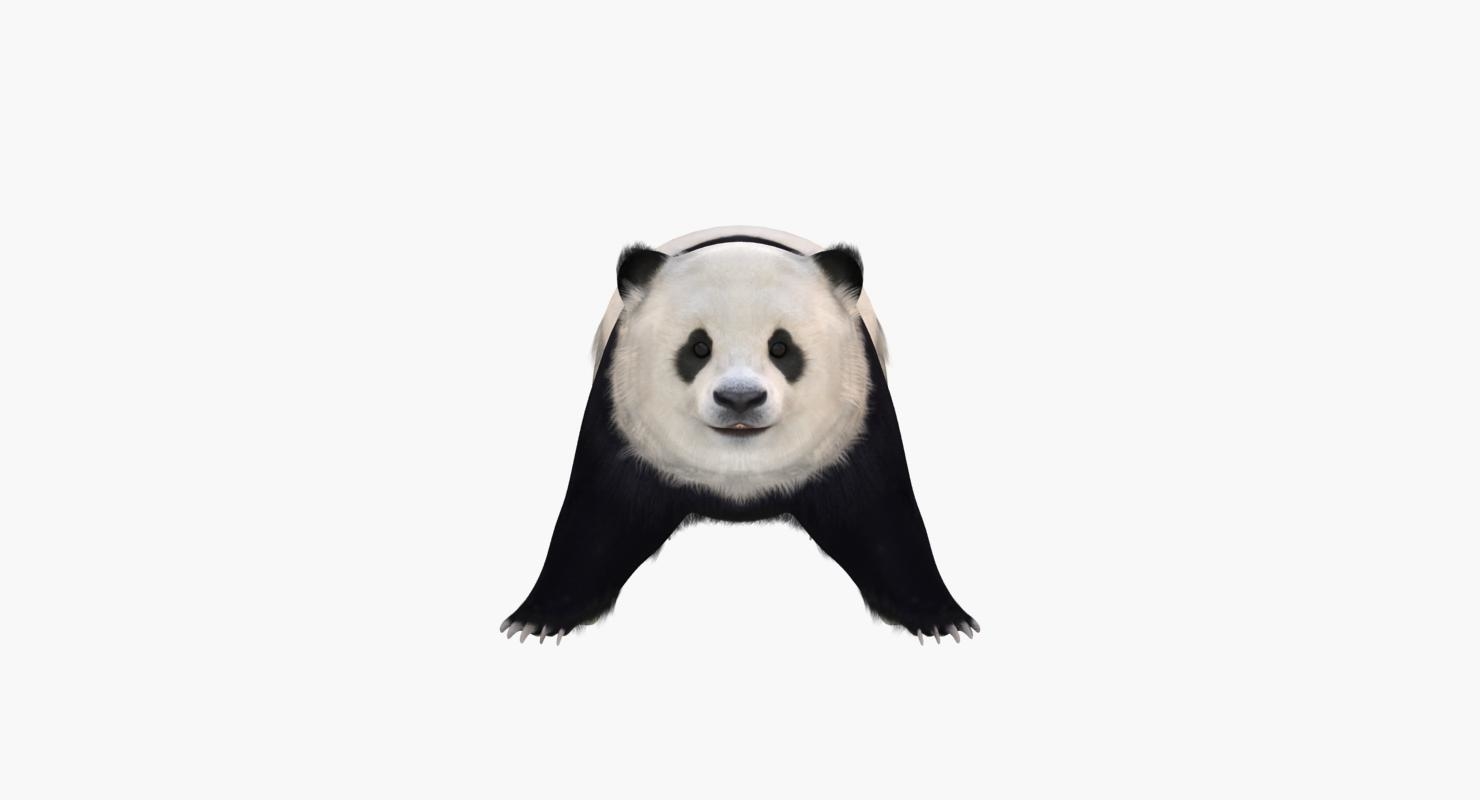panda 3d model