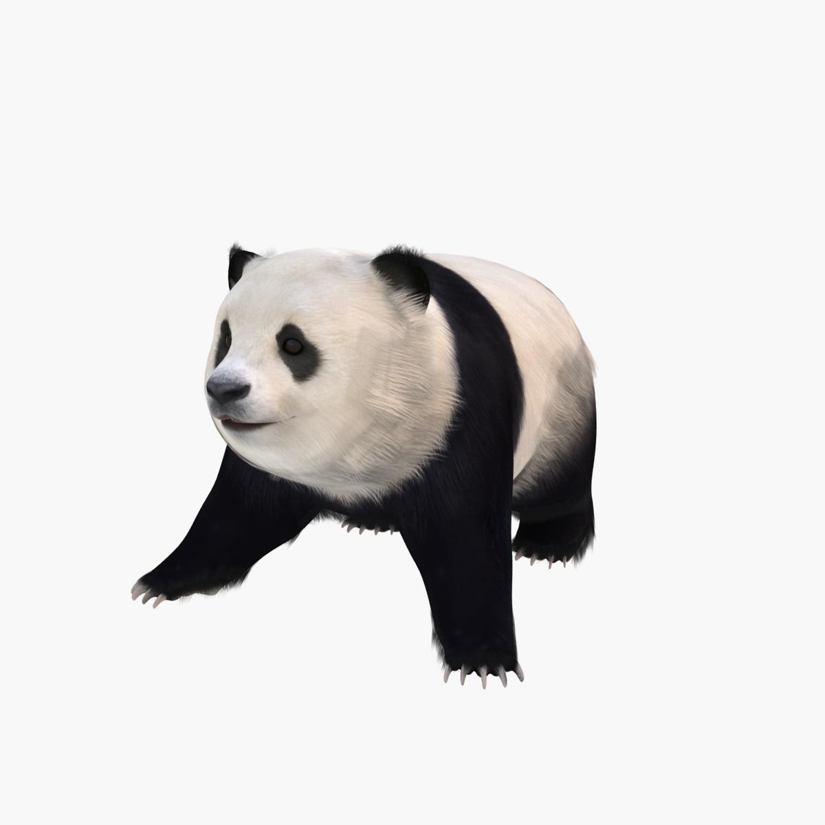 panda 3d model