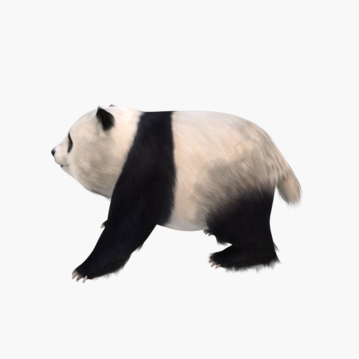 panda 3d model