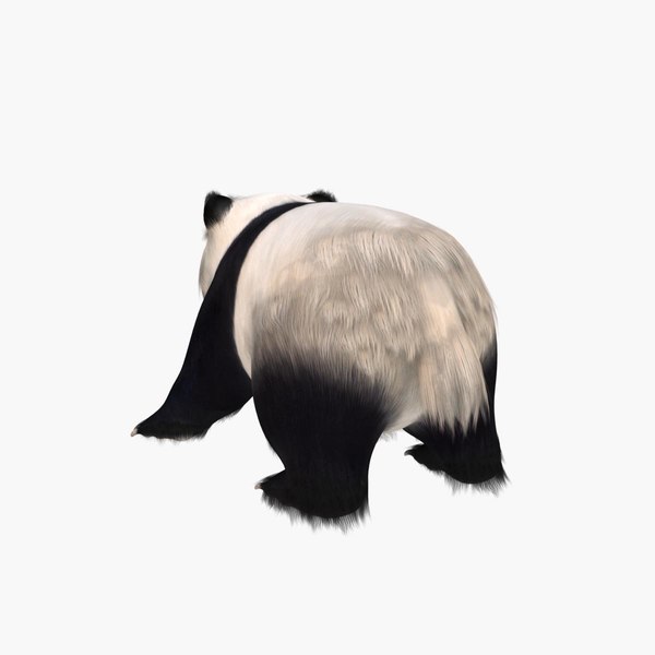 panda 3d model