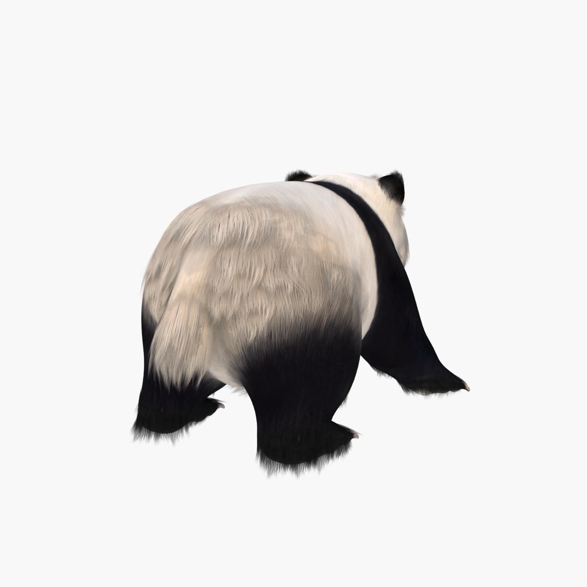 panda 3d model