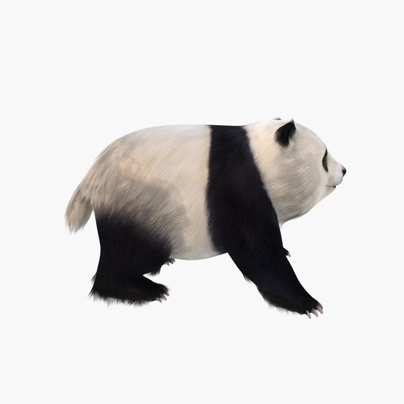 panda 3d model