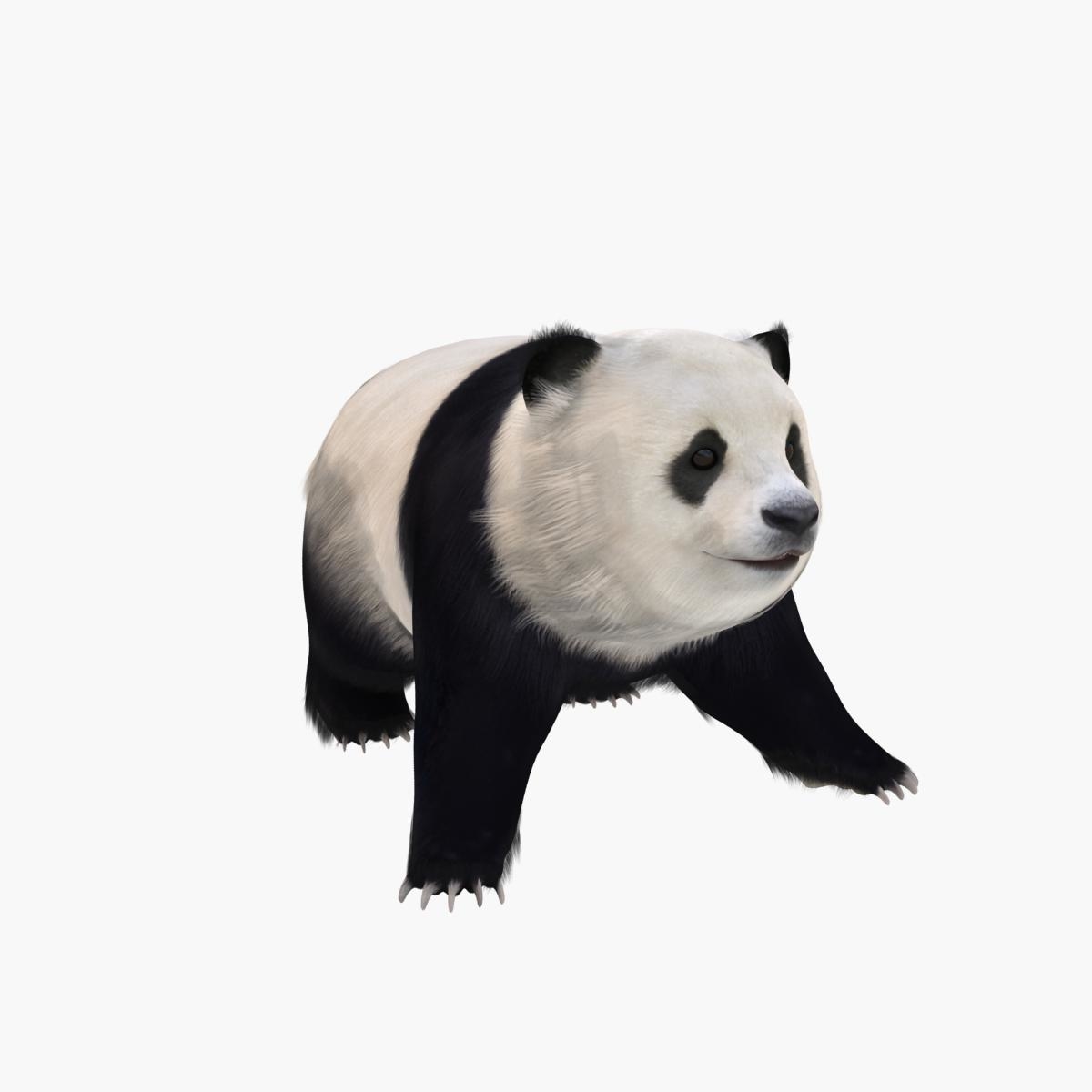 panda 3d model