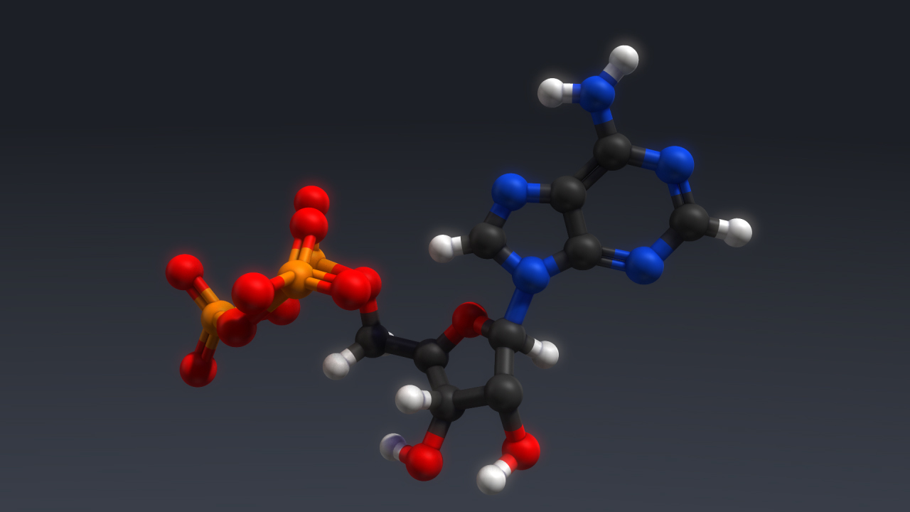 3d atp structure model