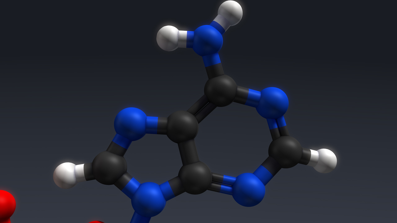 3d atp structure model