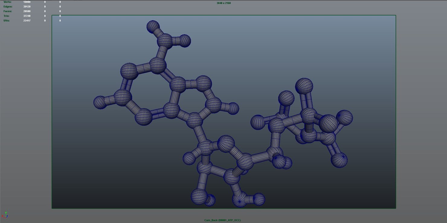 3d atp structure model