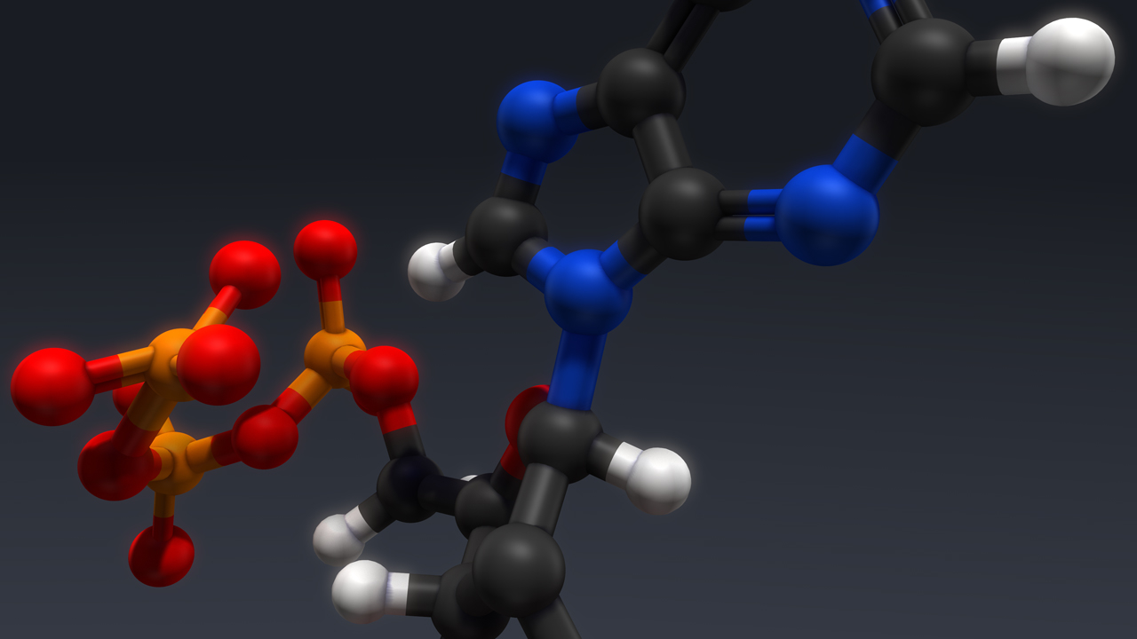 3d atp structure model