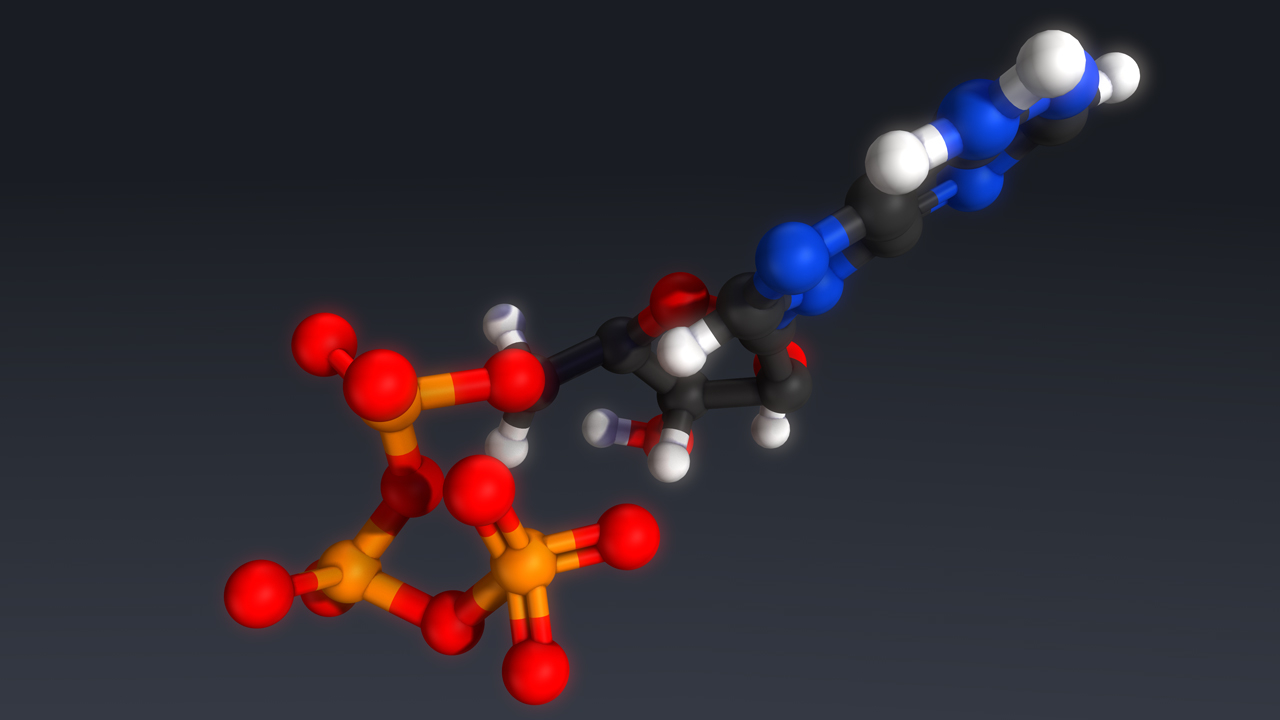 3d atp structure model