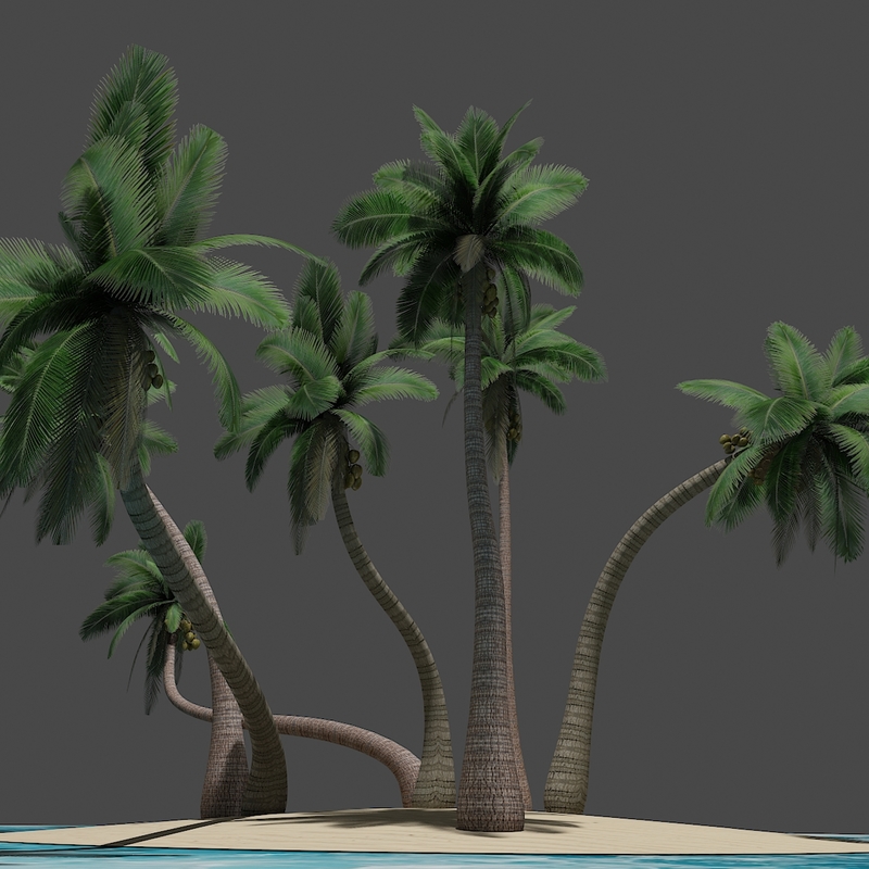3d coconut tree model