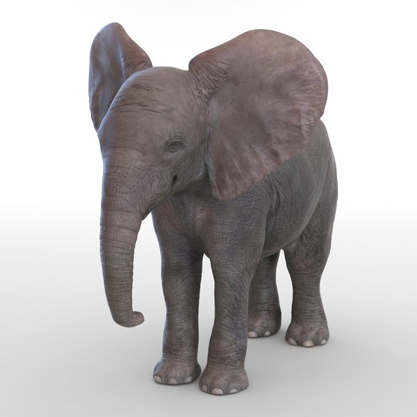 3d elephants 2 model