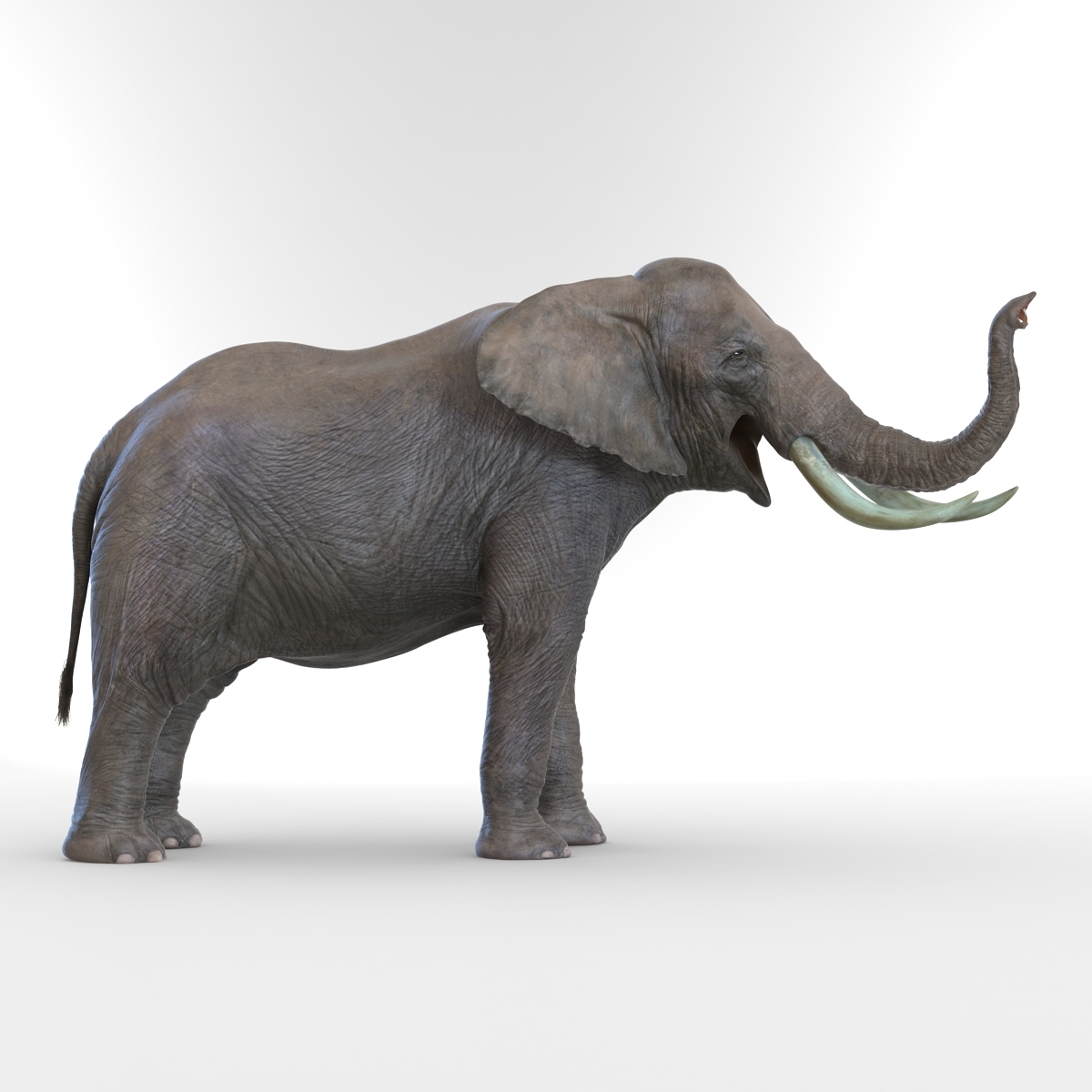 elephants set 3d model