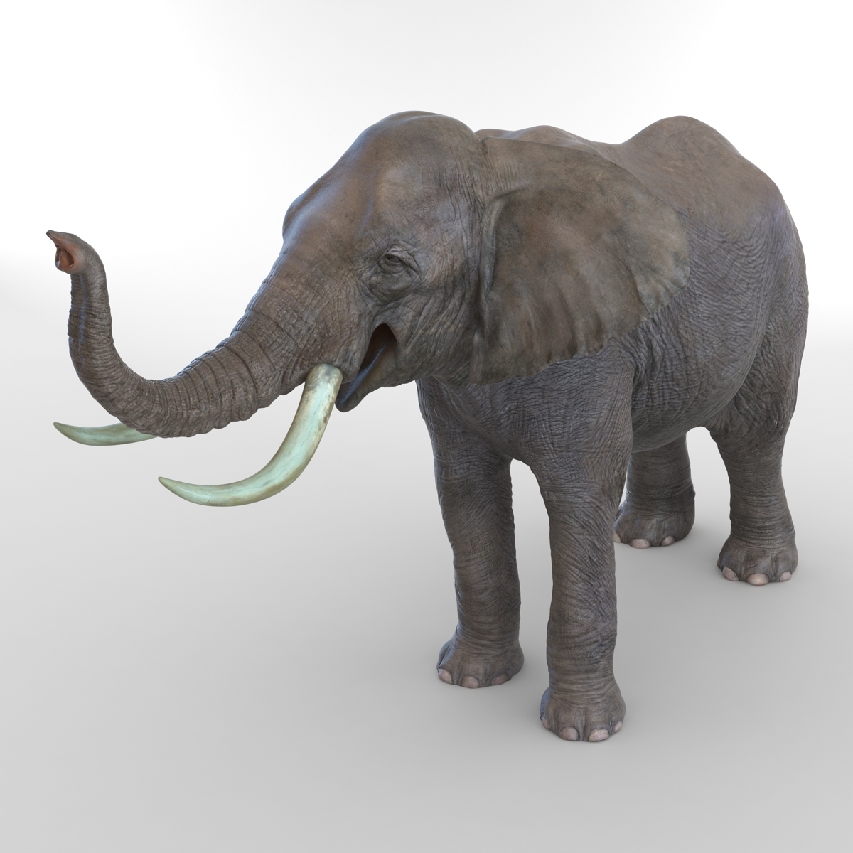 elephants set 3d model