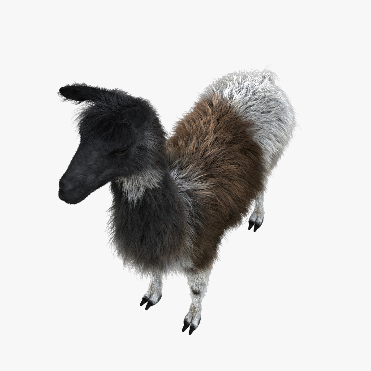 3d model llama fur