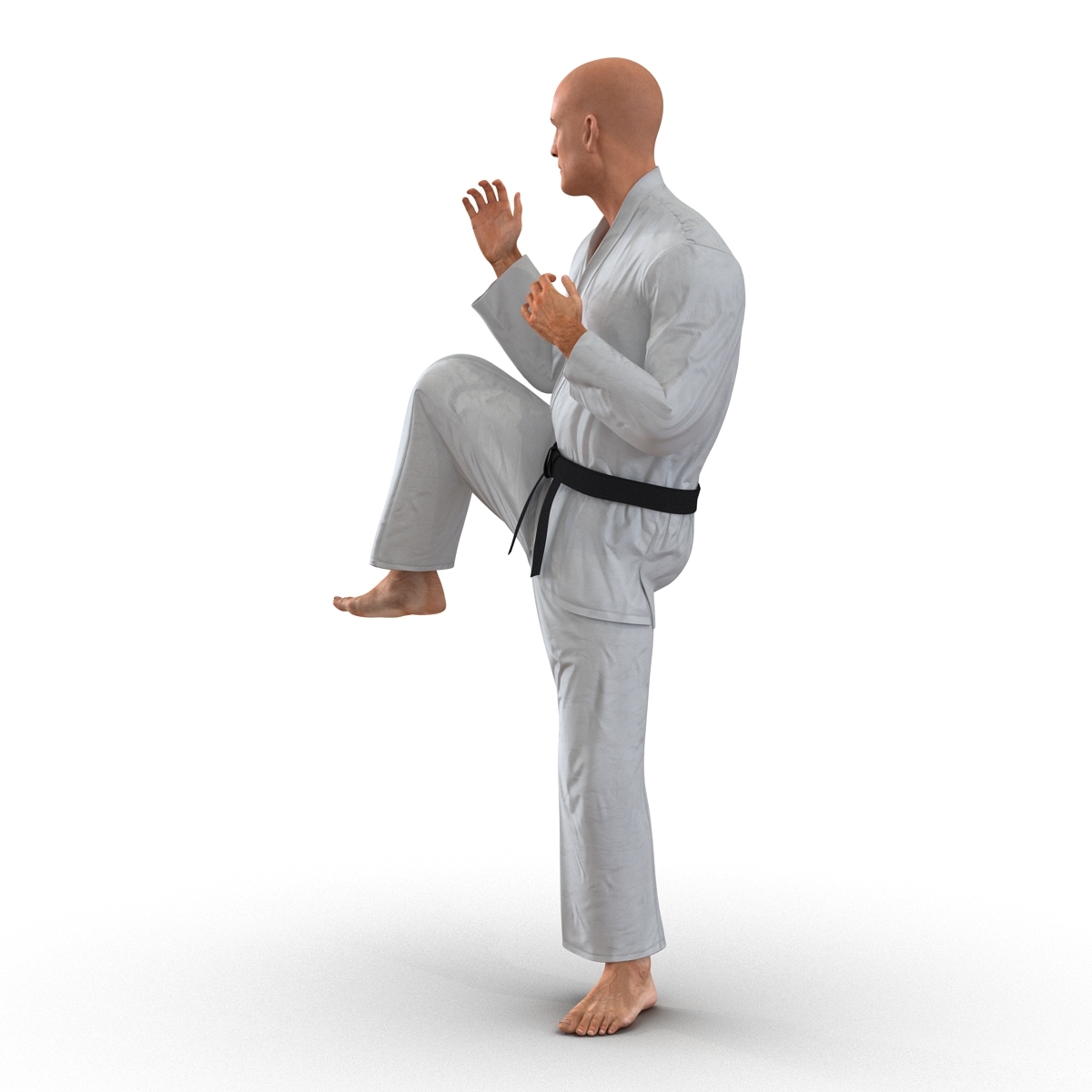 karate fighter pose 3 3d model