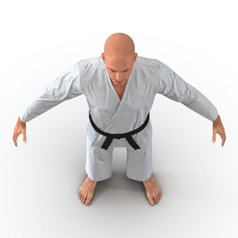 karate fighter 3d model
