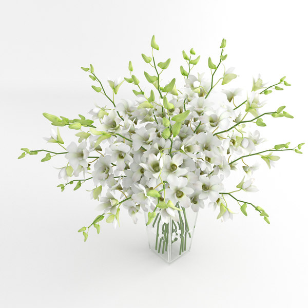 3d orchid flower white model