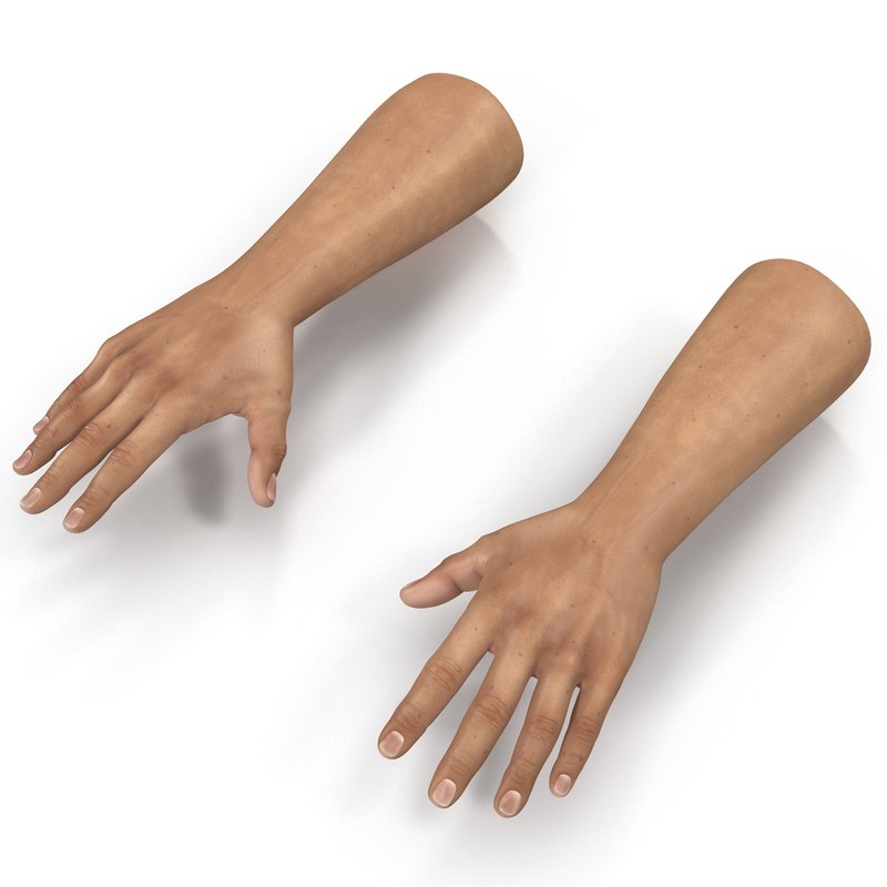 3d man hands model