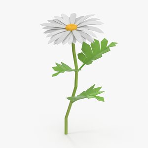 Daisy 3D Models for Download | TurboSquid