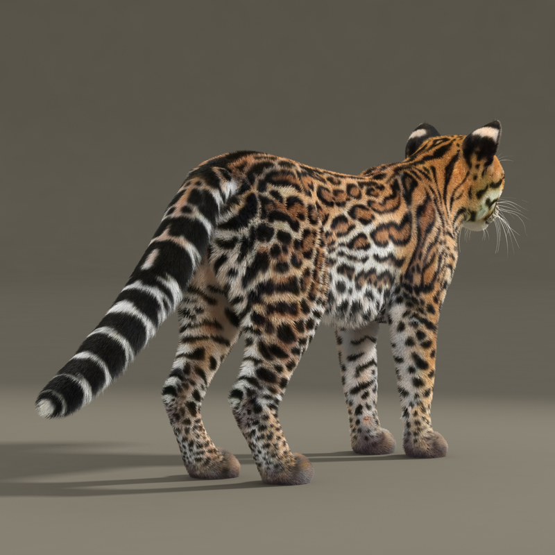 3d model ocelot cat fur