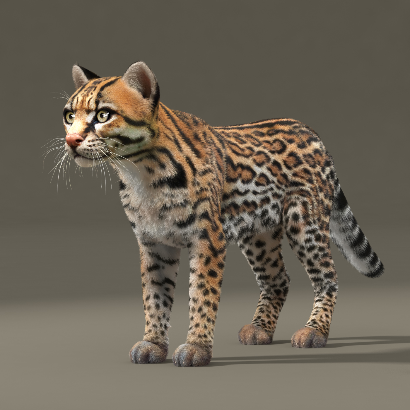 3d model ocelot cat fur
