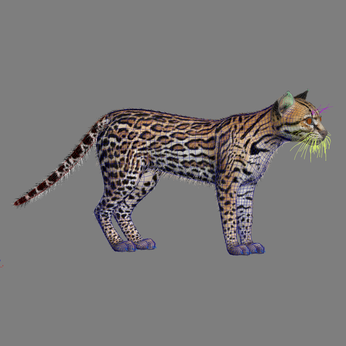 3d model ocelot cat fur
