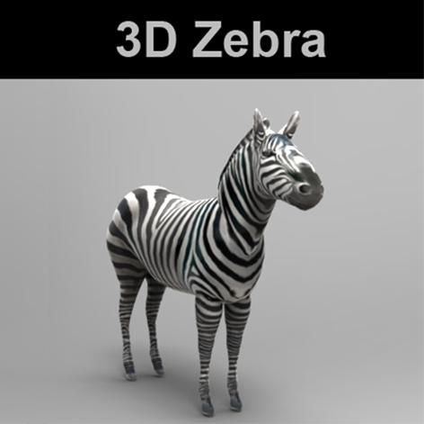 Zebra 3D Models for Download | TurboSquid