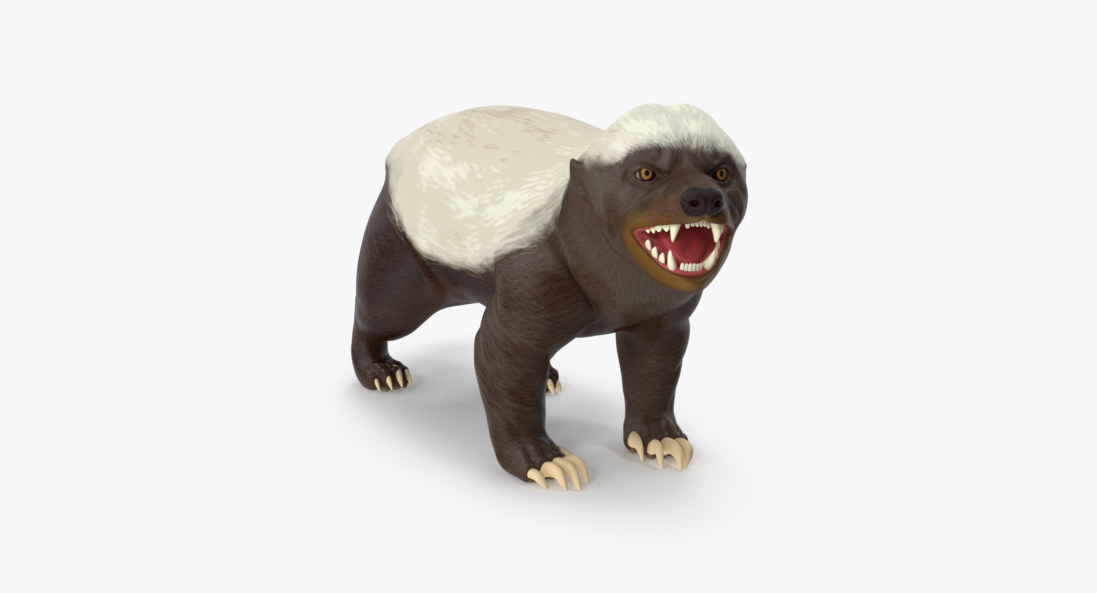 3d honey badger model